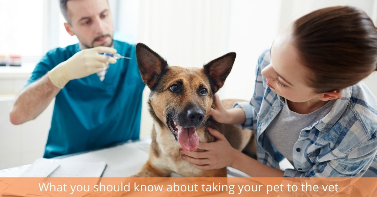 Veterinary etiquette – Marine Way Animal Hospital